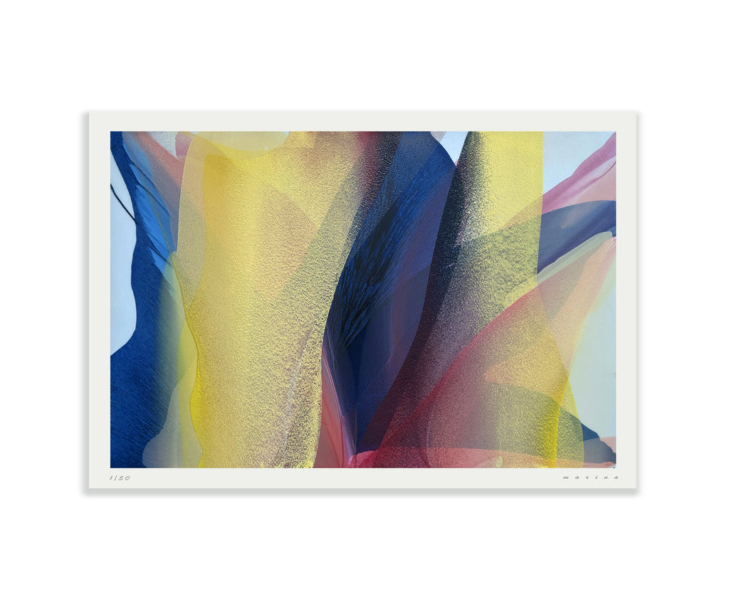 Sold Out | Blue Iris – Marina Savashynskaya